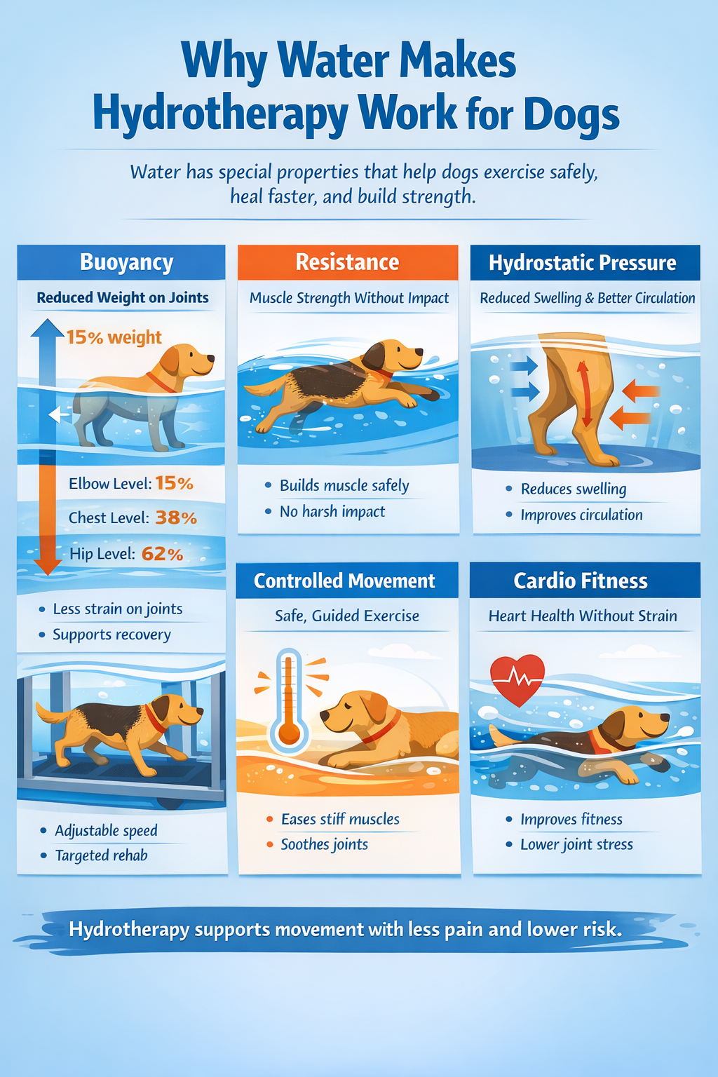 About Hydrotherapy – BARKERS K9 Hydro-Physio
