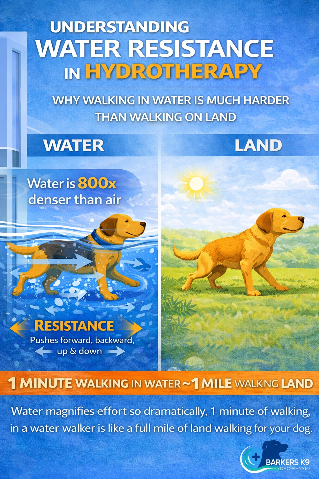 About Hydrotherapy – BARKERS K9 Hydro-Physio